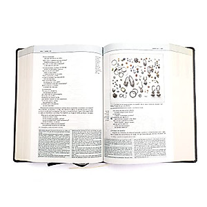 Bíblia De Estudo Thomas Nelson - Azul Encadernação de couro – 15 janeiro 2023…