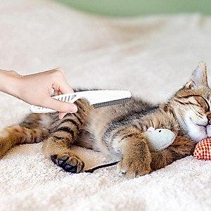 Magic Pet Comb Flea Comb for Dogs and Cats Multifunctional Pet Hair Comb Flea and Tear Stain Removal Magic Flea Brush and Tear Stain Comb Pet Supplies Remove Knots Crust Mucus