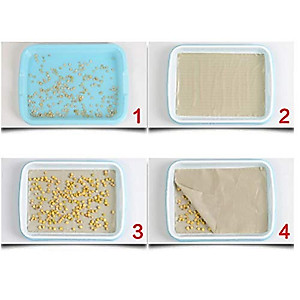 Happyyami Seed Growing Tray Multifunctional Broccoli Wheatgrass Alfalfa Seed Sprouting Soilless Culture Tray Double Layer Germination Planter with Paper for Home Sky Blue