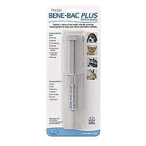 PetAg Bene-Bac Plus Pet Gel - FOS & Probiotics Gel Supplement with Naturally Occurring Microorganisms - 1 Count (15 g Syringe)