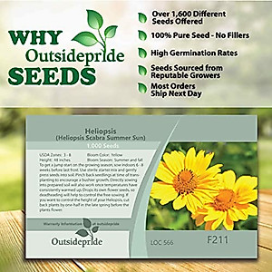 Outsidepride Perennial Heliopsis Summer Sun Garden Cut Flower - 2000 Seeds