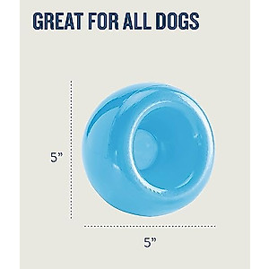 Planet Dog Orbee-Tuff Snoop Interactive Treat Dispensing Dog Toy, Large, Blue