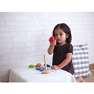 PlanToys Wooden 8 Piece Sorting and Stacking Ring Toy (5124) | Rainbow Color Collection |Sustainably Made from Rubberwood and Non-Toxic Paints and Dyes