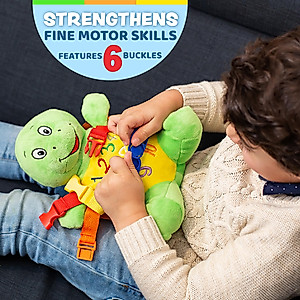 Buckle Toys - Bucky Turtle - Toddler Learning Activity - Develop Motor Skills and Problem Solving - Counting and Color Recognition - Sensory Stuffed Animal Travel Toy