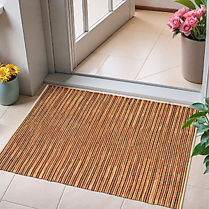 OJIA Indoor Door Mat 2'x3' Small Door Rugs for Entryway Washable Farmhouse Fall Bathroom Rug Kitchen Rug, Cotton Woven Entry Rug Front Door Mats Entrance Rustic Throw Rugs for Doorway Bedroom