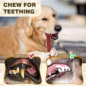 UrbanX Rawhide Free Dog Bones, 8" Real Chicken Wrapped Dog Chew Bones for Great Pyrenees and Other Large Working Dogs Training Treats - 2 Count