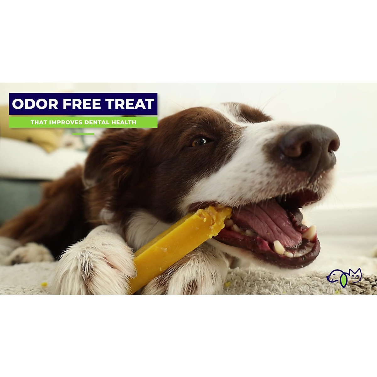 a petter way Himalayan Yak Chews, Natural Dog Treats, Limited Ingredients, 68 Grams of Protein, raw-Hide Alternative, Large Dog Chews for Aggressive chewers (Cheese)