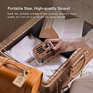 Muzen Portable Bluetooth Speaker, OTR Wood Vintage Small Wireless Speaker, FM Radio with Antenna AUX, 10h+ Long Playtime, High Fidelity Stereo Audio with Suitcase, for Gift Home Picnic