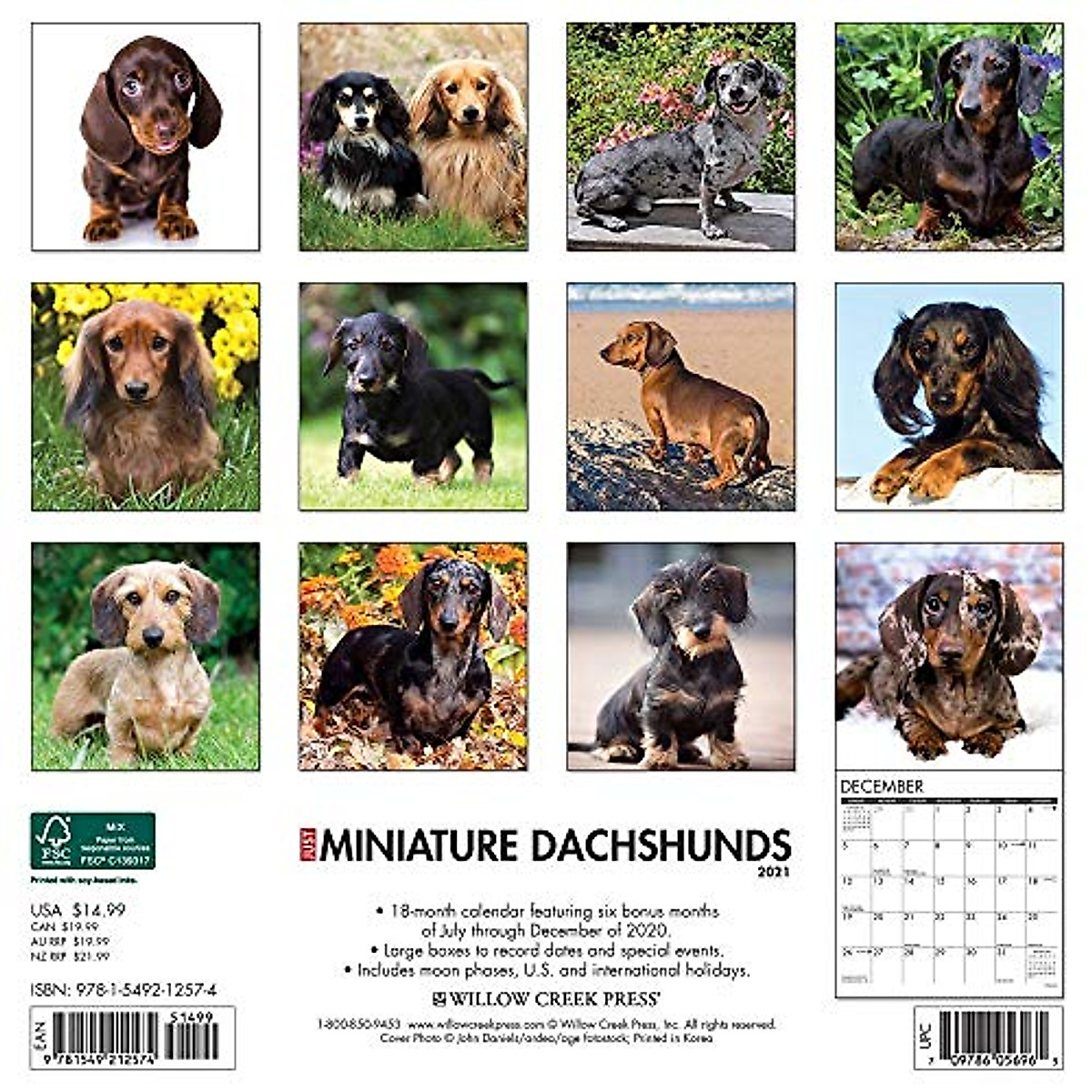 Just Mini Dachshunds 2021 Wall Calendar (Dog Breed Calendar)