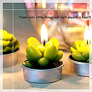 Swpeet 12Pcs Decorative Succulent Cactus Tealight Candles Kit, Cute Smokeless Succulent Plants Perfect for Candles Festival Wedding Props and House-Warming Party (N0.4-Candle)