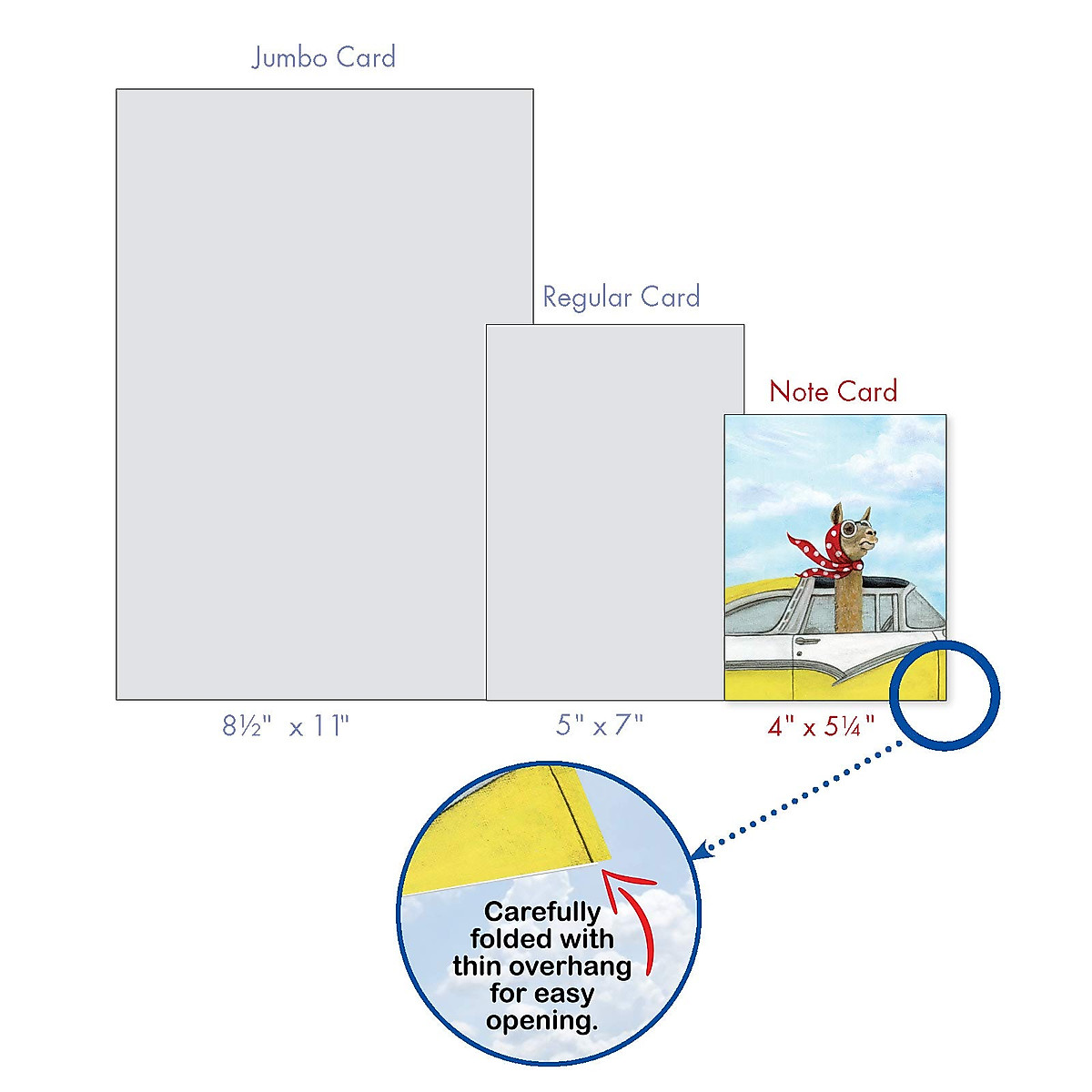 The Best Card Company Assorted Blank Greeting Card Box Set - Incl. 20 Cards + Envelopes - 10 Unique Designs - Perfect for Thank Yous, Invitations, More - Driving Divas AM9276OCB-B2x10