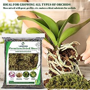 Lanccona Sphagnum Moss - 3 Quarts Dried Forest Moss for Orchid Moss Potting Mix Carnivorous Plants Succulents Reptiles Decorating Terrariums Potted Plant Propagation