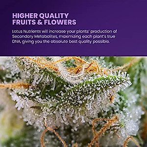 Lotus Nutrients Carboflush Pro Series, All Natural Premium Powdered Plant Nutrients for Flushing Indoor and Outdoor Gardens Made for Hydroponic, Coco Coir, and Soil (9oz.)