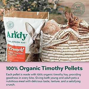 Andy Timothy Hay Pellets, Crunch! Pure Organic Rabbit Food, 15 lb Bag, Premium Guinea Pig and Chinchilla Hay, Balanced Nutrition for Rabbits, Chinchillas, and Guinea Pigs