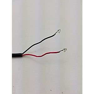 Sundance Spas Jacuzzi Flow Switch W/Tee Curled Finger Connectors and 2-Pin Plug