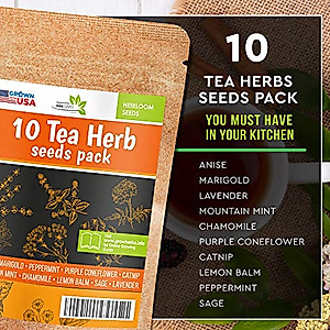 10 Herbal and Medical Tea Seeds Pack - Heirloom and Non GMO, Grown in USA - Indoor or Outdoor Garden - Chamomile, Lavender, Mint, Lemon Balm, Catnip, Peppermint, Anise, Coneflower Echinacea & More