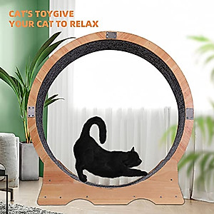 Cat Wheel, Cat Treadmill, Exercise Wheel, Cute Cat Furniture, Pet Toy, Cat Toy, Cats Loss Weight Device (Medium)