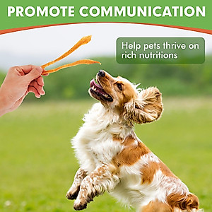 MON2SUN Dog Treats, Chicken Jerky Strips for Small Dogs, High Protein & Grain Free Dog Snacks, Easy to Digest Dog Training Treats (Chicken, 17.64 Ounce -Pack of 1)