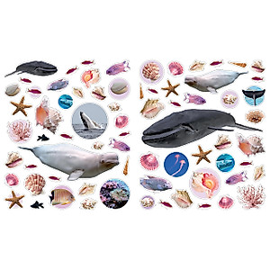 Eyelike Stickers: Ocean