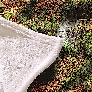 Musihy Soft Throw Blankets for Couch, Short Throw Blanket Green Blanket Streams and Trees Soft Blankets Double Bed 71"x79"