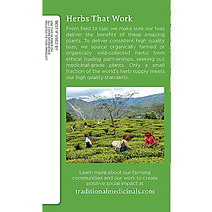 Traditional Medicinals Organic Green Tea With Toasted Rice, Matcha (Pack of 2) 32 Tea Bags Total