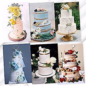 Fatpig 20pcs Cake Rods and 4pcs Separator Plates for 4, 6, 8, 10 Inch Tiered Cake Construction,12pcs Cake Dowel Rods for Stacking