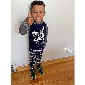 Baby Boys Dinosaur Long Sleeve Hoodie Tops Sweatsuit Pants Winter Outfit Set Gray