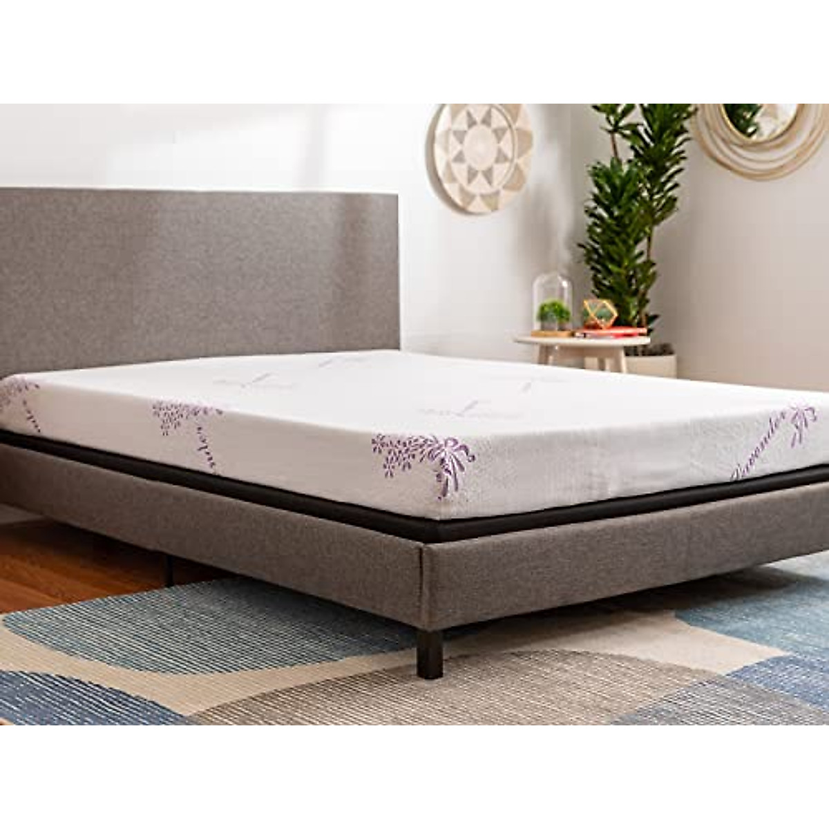 Tulo by Mattress Firm | 6 INCH Memory Foam Lavender Mattress | Pain-REDUCING Pressure Relief | Queen Size