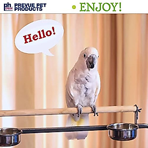 Prevue Hendryx 62900 Mimic Me Voice-Recording Unit for Birds Green Small