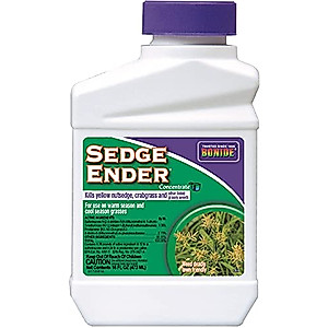 Sedge Ender Concentrate3
