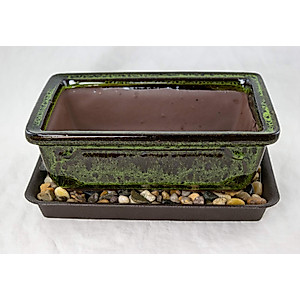 8" Rectangular Moss Green Bonsai/Succulent Pot + Tray + Rock + Mesh Combo
