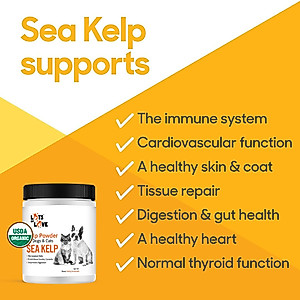 Kelp Powder for Dog & Cat - Organic Sea Kelp Supplement Granules Powder (16 Oz, 1 Pound)