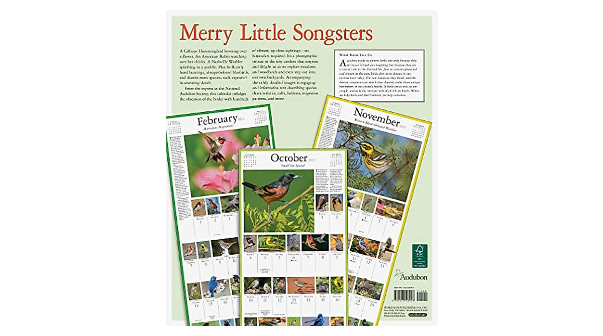 Audubon Songbirds and Other Backyard Birds Picture-A-Day Wall Calendar ...