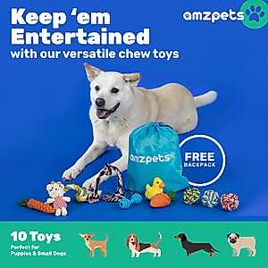 AMZpets 10 Dog Toys for Small Dogs and Puppies, Squeaky Dog Toys Rope Toys for Plush Games, with Chewing Ropes/Balls/Rubber Bone/Carry Bag, Variety Playing Toys Set for Toss and Tug Play