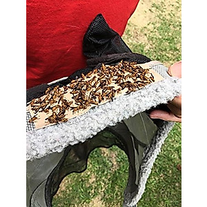 Trednot 12 Horsefly Patches/Sticky Horse Fly Traps