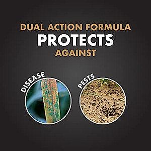 Spectracide Immunox Fungus Plus Insect Control for Lawns, 32 fl oz, Pack of 6