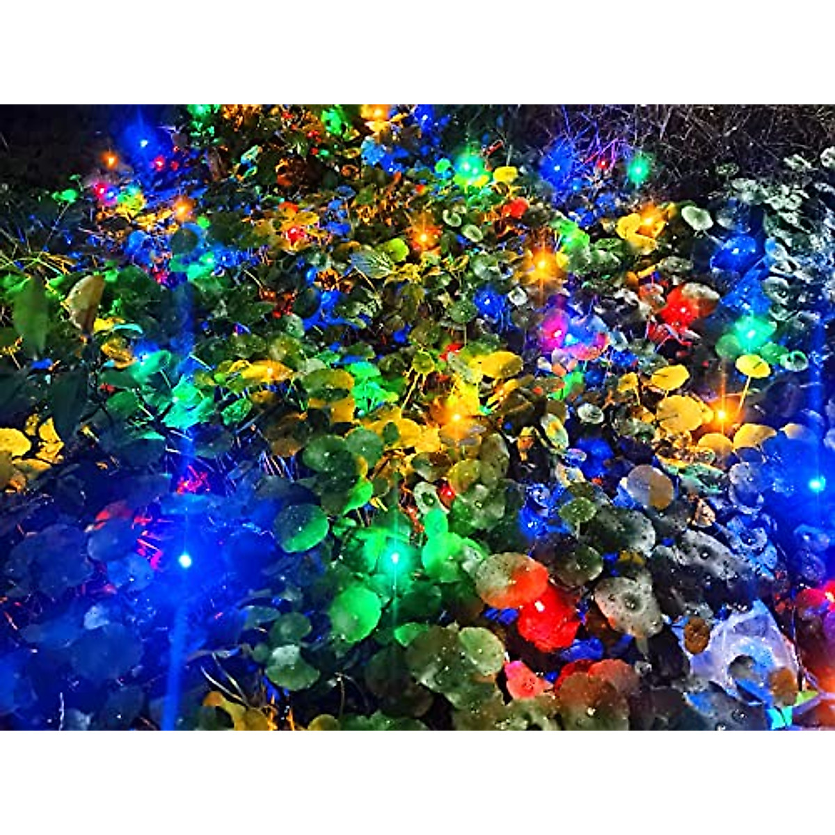 TAYNGUANG Solar Fairy Lights Outdoor, 33ft 100 LED Solar Powered Garden Lights Outside 8 Modes Waterproof Solar String Lights for Trees Patio Fence Wedding Party Christmas Decor
