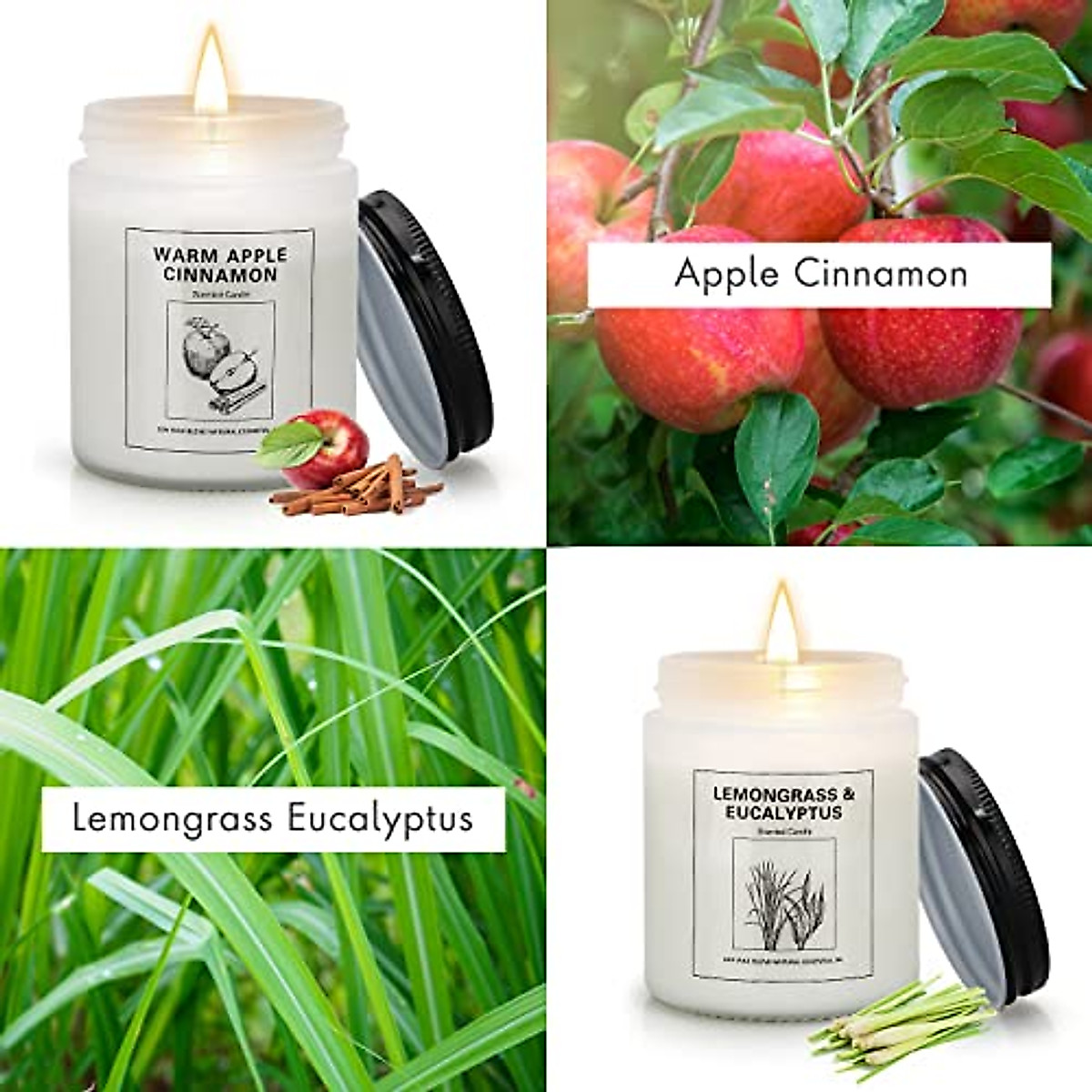 Candles, Apple Cinnamon and Lemongrass Eucalyptus Candles for Home Scented, 2 Pack Candles Gifts for Women, 15 oz Soy Candle, Scented Candles Gifts Set for Mother's Day, Valentine, Christma's Gifts…