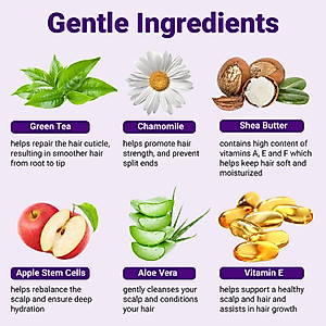 Ongaro Beauty Organic Sulfate Free Shampoo - Hydrating Hair Solution with Aloe Vera, Probiotic Extracts, Peptides & Apple Stem Cells - Promotes Healthy Hair for Dry, Oily, and Colored - 12 fl oz