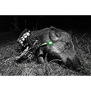 Nockturnal Lighted Nocks for Arrows with .246 / .244/204 Inside Diameter, Green