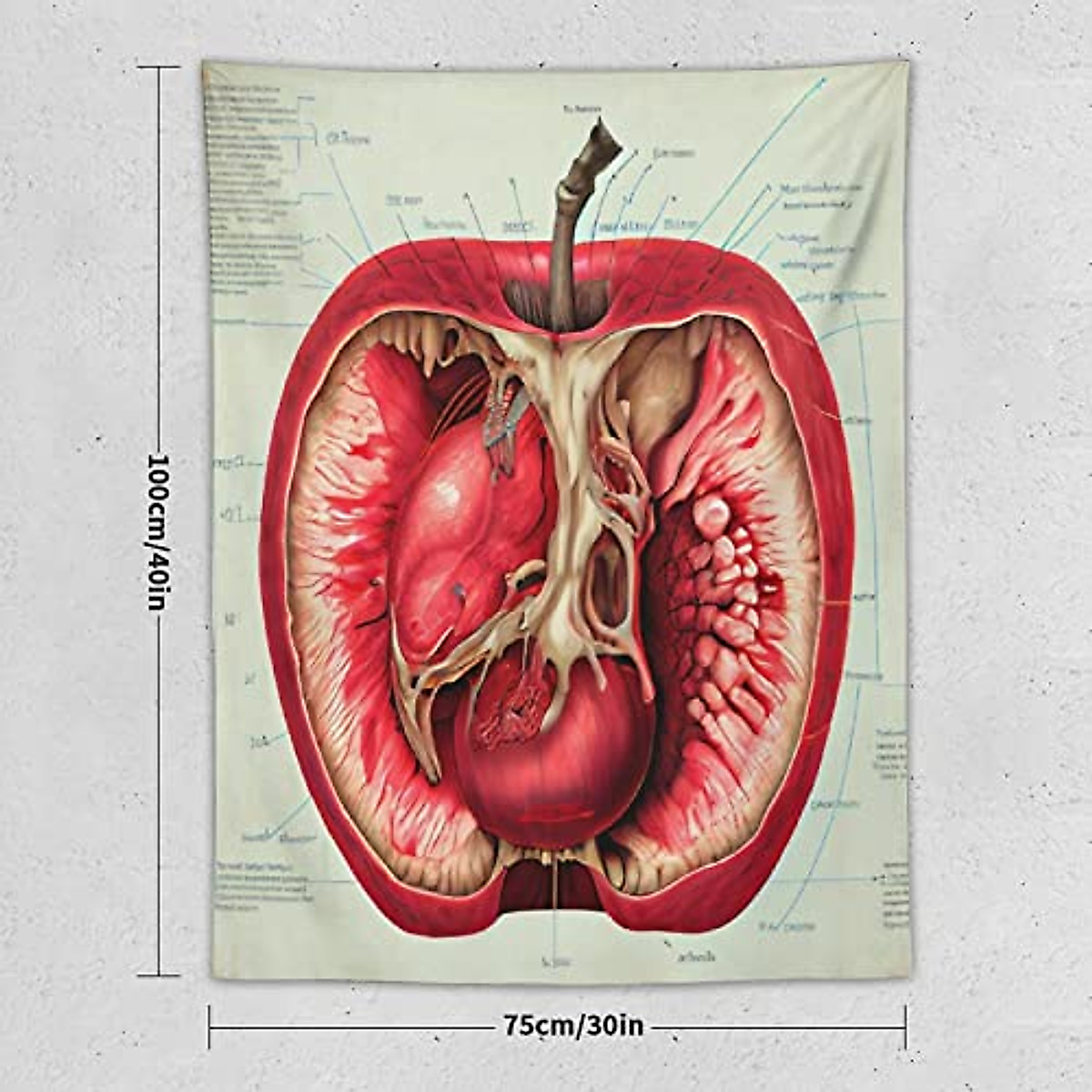 Joint Gou Color Anatomy Tapestry Human Internal Organs Tapestry Red Toxic Apple Tapestry Wall Hanging for Bedroom Living Room Dorm 30"x40"