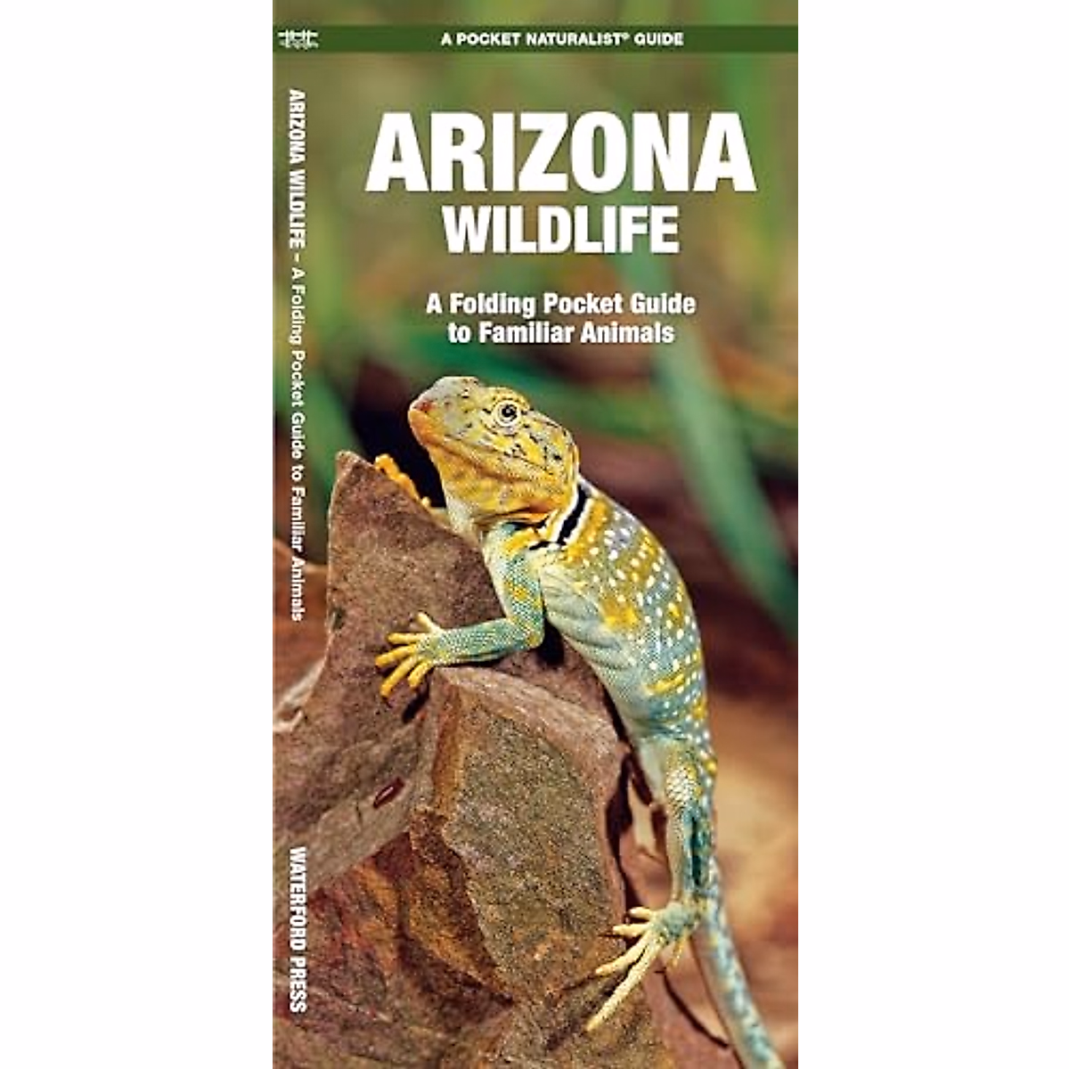 Arizona Wildlife: A Folding Pocket Guide to Familiar Animals (Nature Observation North America)