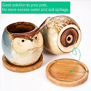 Trays 2.5 Inch Bamboo Round Plant Saucer for Most Plant Pot Flower Pot, Solution for Owl Pot with Hole (6 Pack)