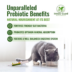 Intesto Guard Probiotics Paste 60ML/60cc Tube for Dogs & Cats Helps with Dog Diarrhea, Immune Supplements, with IgY antibodies & Made in USA