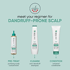 BIOLAGE Scalp Sync Anti-Dandruff Shampoo | Targets Dandruff, Controls The Appearance of Flakes & Relieves Scalp Irritation | Paraben-Free | Vegan