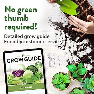 7 Cabbage Seeds for Planting - 2000+ Heirloom & Non-GMO Seeds - Golden Acre, Bok Choy, Savoy, Michihili, Red Acre, Copenhagen Market, Jersey Wakefield Cabbages - Garden Vegetable Lettuce Seeds