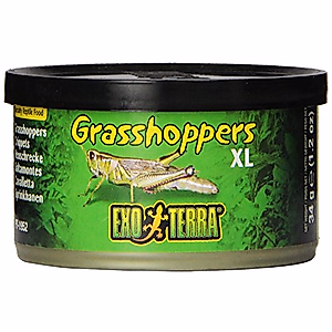 Exo Terra Specialty Reptile Food, Canned XL Grasshoppers for Reptiles, PT1952