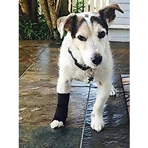 Carpal Wrist Wrap (med/large 4"-6")