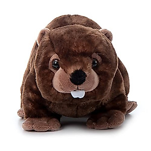 The Petting Zoo Beaver Stuffed Animal, Gifts for Kids, Wild Onez Zoo Animals, Beaver Plush Toy 12 inches