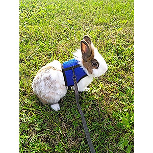 Pettom Bunny Rabbit Harness with Stretchy Leash Cute Adjustable Buckle Breathable Mesh Vest Harness and Leash Set for Kitten Small Pets Holland Lop Bunnies Walking (S(Chest:10.8-12.9 in), Pink)